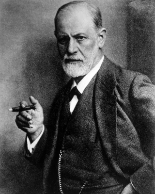 SigFreud Wiki | Fandom
