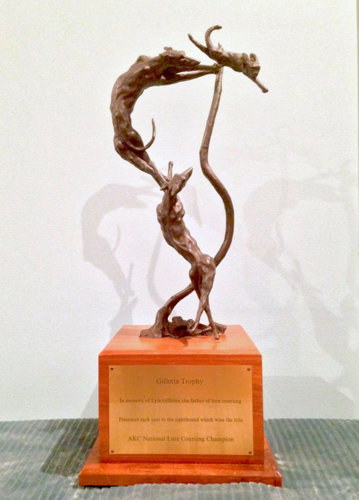 Gillette Trophy | Sighthound Coursing and Racing Wiki | Fandom