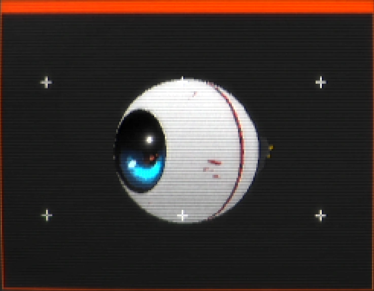 EIDETIC MODULE | SIGNALIS Wiki | Fandom