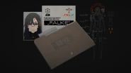 Replika Overview: FKLR | SIGNALIS Wiki | Fandom