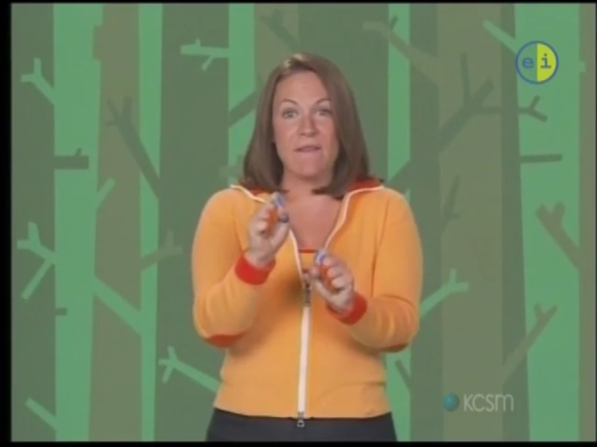 Right Place, Right Time | Signing Time Wiki | Fandom