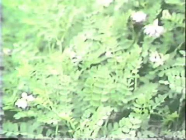 WJHL Sign On and Sign Off | Signons and Signoffs Wiki | Fandom