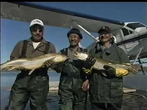 CJCO-TV sign off | Signons and Signoffs Wiki | Fandom