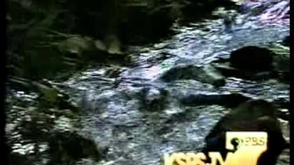 KSPS-TV Sign Off | Signons and Signoffs Wiki | Fandom