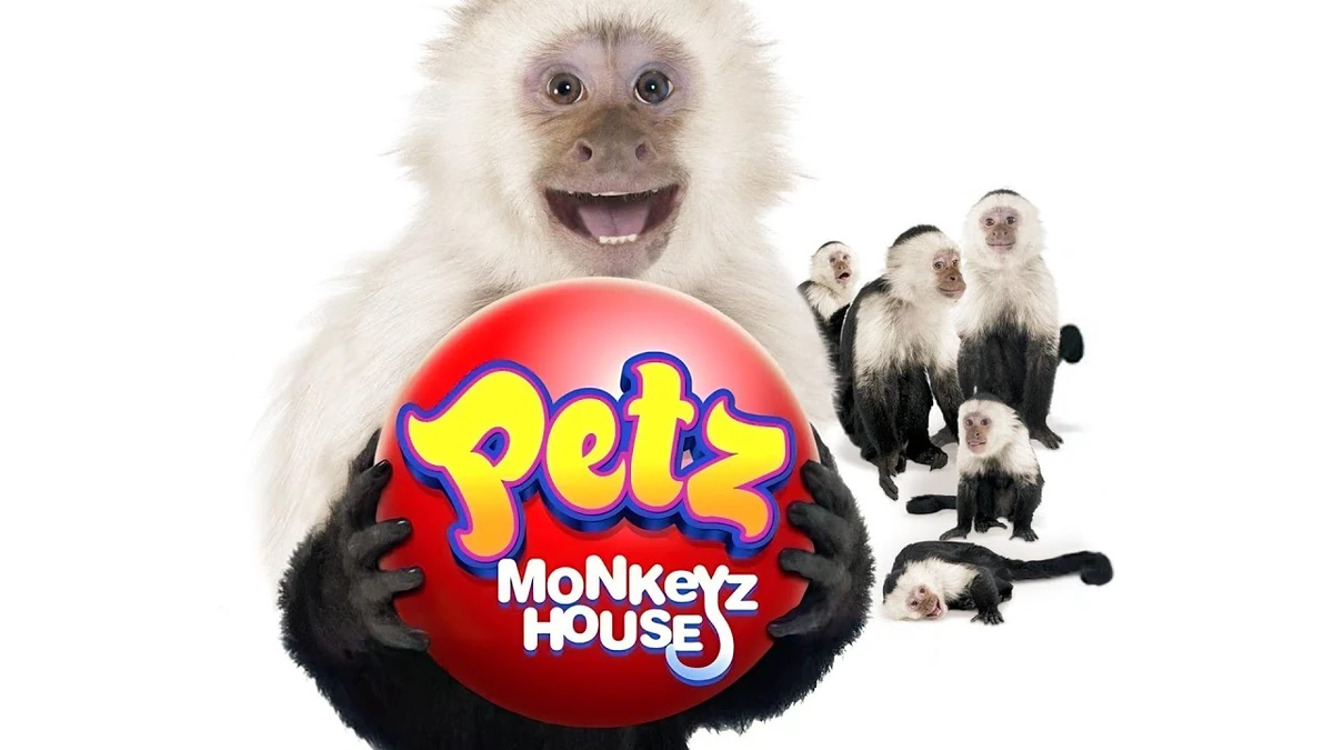 Menu - Petz: Monkeyz House | SiIvaGunner Wiki | Fandom