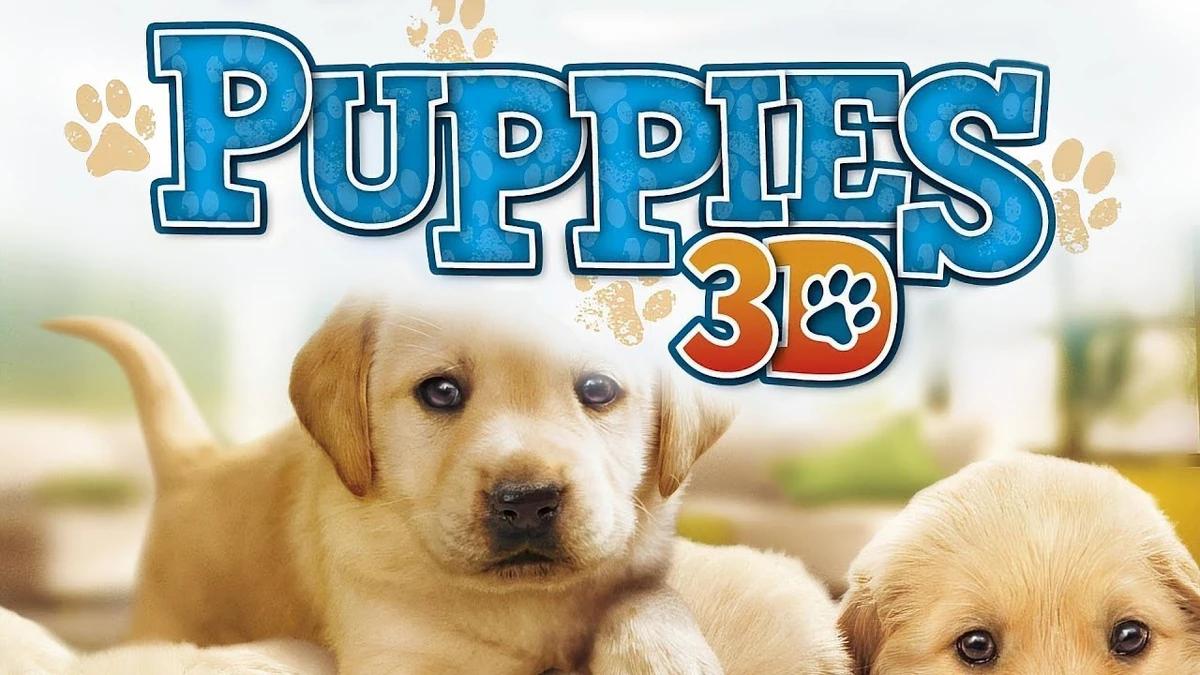 Rally 2 - Puppies 3D | SiIvaGunner Wiki | Fandom