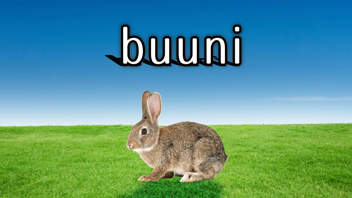 Category:Buuni | SiIvaTimer Wiki | Fandom