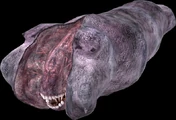 Split Worm | Silent Hill Wiki | Fandom