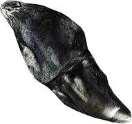 Tremer | Silent Hill Wiki | Fandom