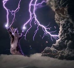 Thunder Cat | Silly cars Wiki | Fandom