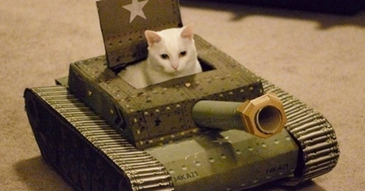 Cat army | Silly cars Wiki | Fandom
