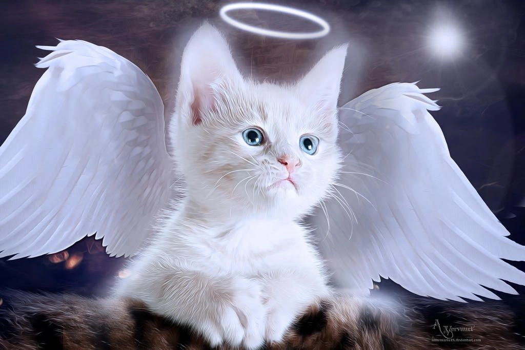 Angel cat | Silly cars Wiki | Fandom