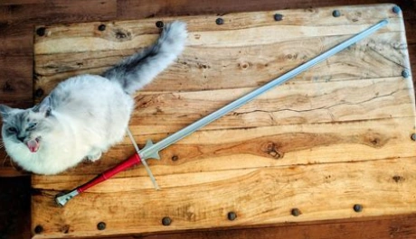 The BIGGEST sword cat | Silly cars Wiki | Fandom