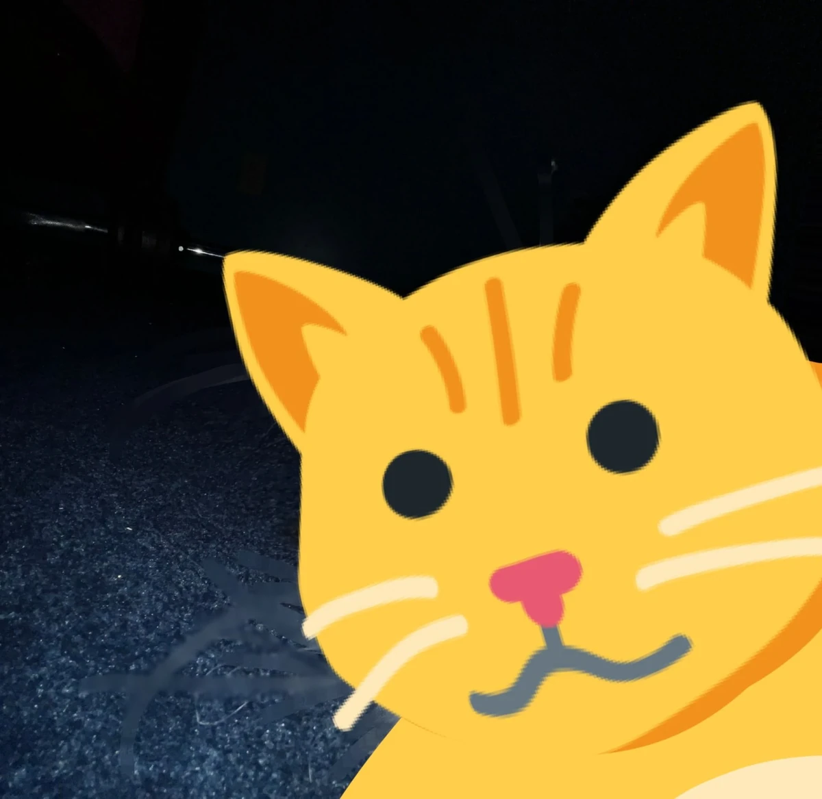 🐱 | Silly Cat TV Series Wiki | Fandom