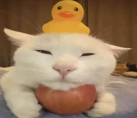 Apple Cat | Silly Cat TV Series Wiki | Fandom