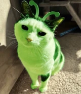 Gnarp Gnaplians | Silly Cat TV Series Wiki | Fandom