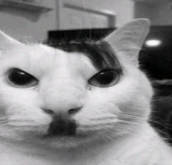 Kitler | Silly Cat TV Series Wiki | Fandom