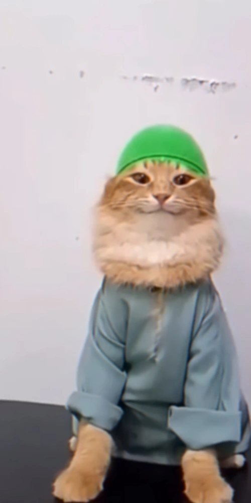 Tobi Tob Li | Silly Cat TV Series Wiki | Fandom