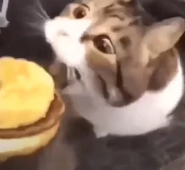 Cheeseburger | Silly Cat TV Series Wiki | Fandom