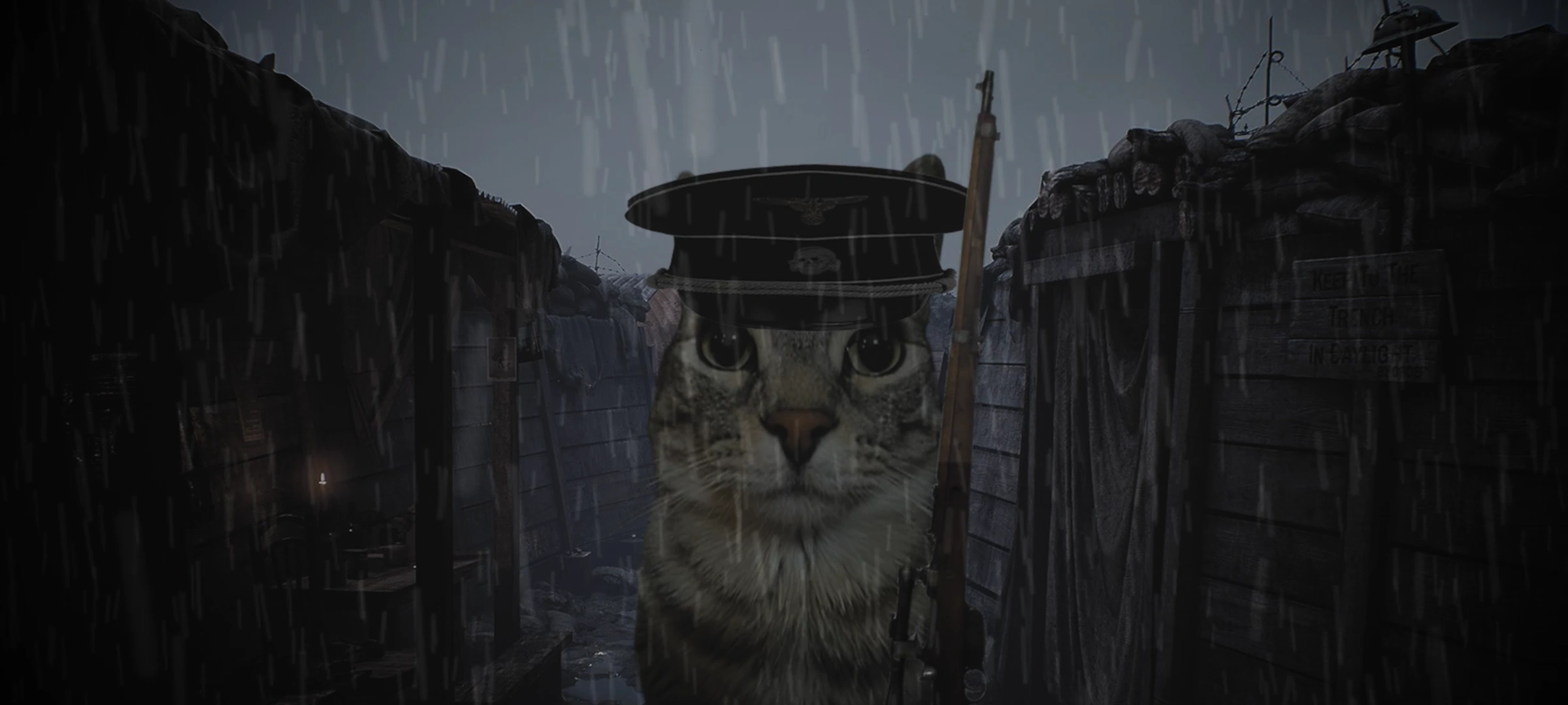 Discuss Everything About Silly Cat TV Series Wiki | Fandom