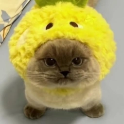 Xiaojie | Silly Cat TV Series Wiki | Fandom