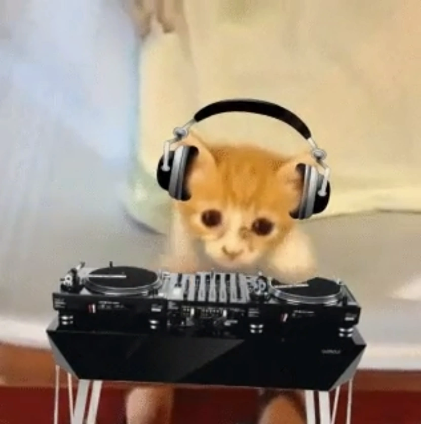 Q The Cat | Silly Cat TV Series Wiki | Fandom