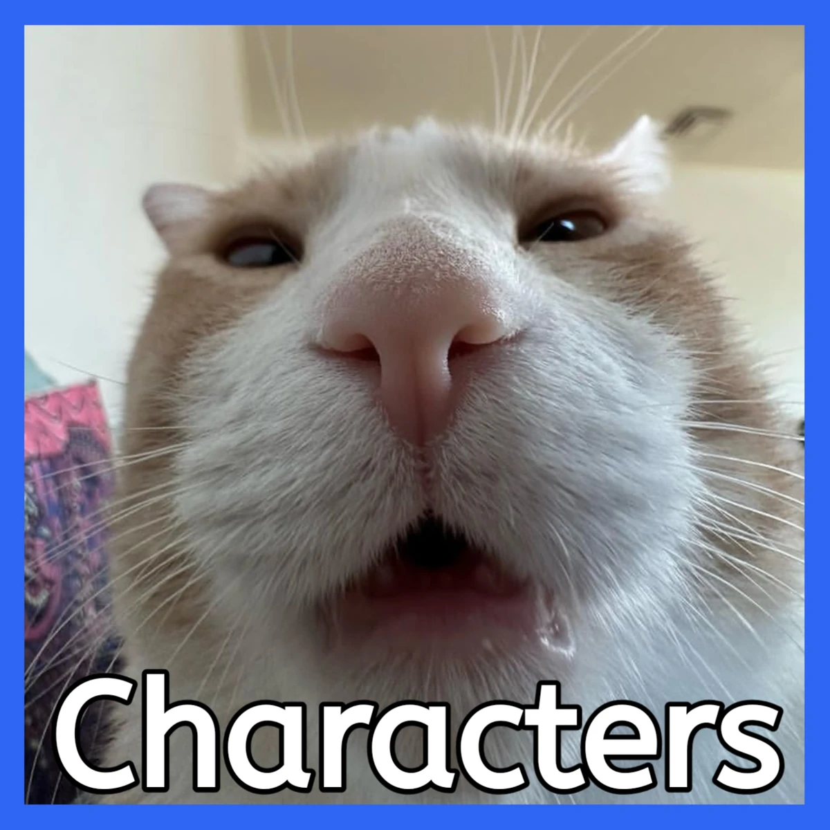 OldMenu | Silly Cat TV Series Wiki | Fandom