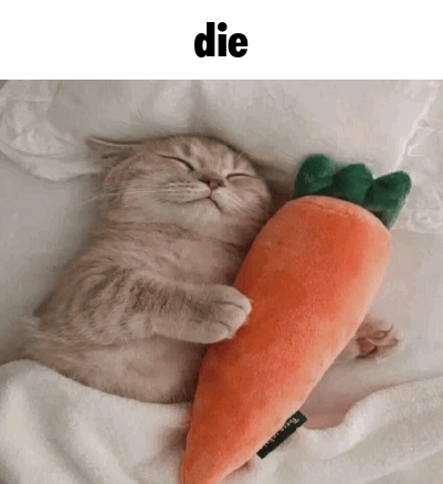 The Snoozer | Silly Cat TV Series Wiki | Fandom