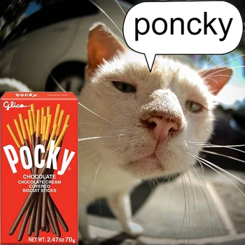 Poncky | Silly Cat TV Series Wiki | Fandom