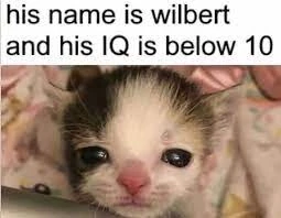 Wilbert | Silly Cat TV Series Wiki | Fandom