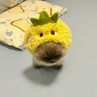 Xiaojie | Silly Cat TV Series Wiki | Fandom