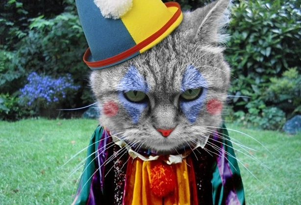 Clown Uprising | Silly Cat TV Series Wiki | Fandom