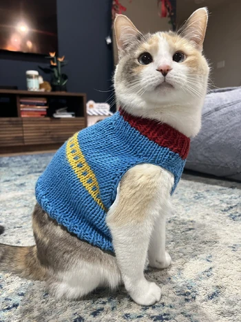 Panko | Silly Cat TV Series Wiki | Fandom