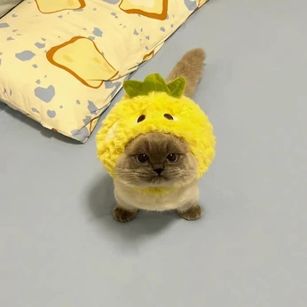 Xiaojie | Silly Cat TV Series Wiki | Fandom