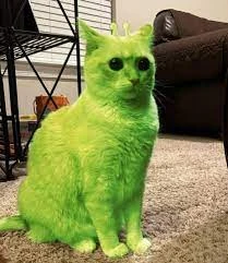 Glooble | Silly Cat TV Series Wiki | Fandom