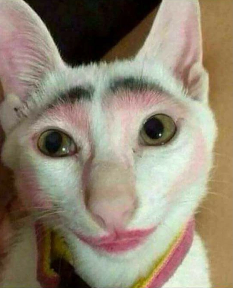 Demetrus P. Dinklebottom | Silly Cat TV Series Wiki | Fandom