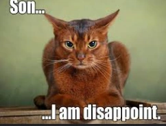 Mr. Poo | Silly Cat TV Series Wiki | Fandom