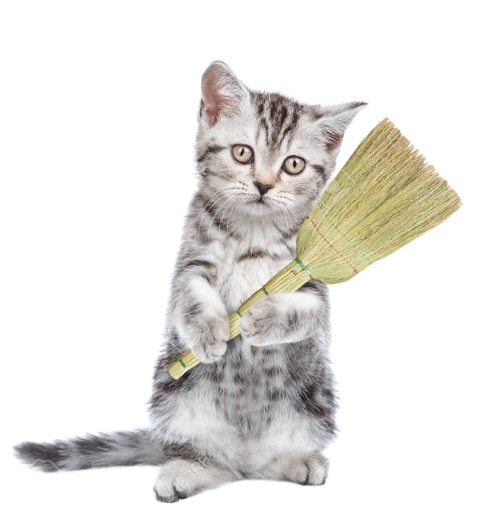 Silly Cat Wiki:Badges | Silly Cat Wiki | Fandom