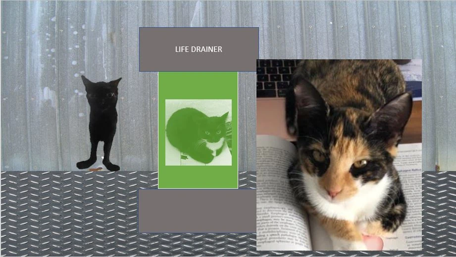 Jinx | Silly Cat TV Series Wiki | Fandom