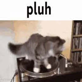 Pluh | Silly Cat TV Series Wiki | Fandom