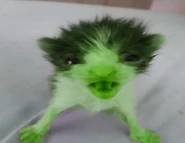 Gnarp Gnaplians | Silly Cat TV Series Wiki | Fandom