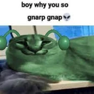 Gnarp Gnaplians | Silly Cat TV Series Wiki | Fandom