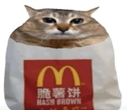 Tole Tole | Silly Cat TV Series Wiki | Fandom