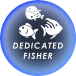 Gamepasses | Silly Defense Wiki | Fandom