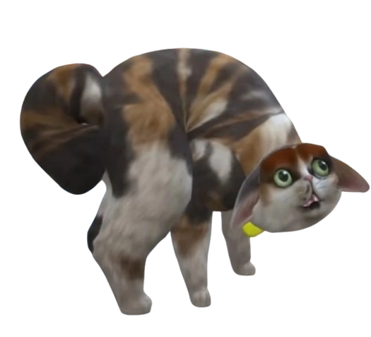 Spleens the Cat | Sillypedia Wiki | Fandom