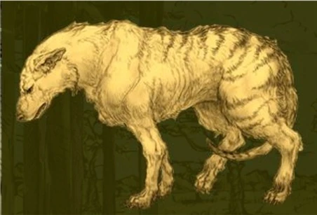 Hyaenodon | Silverwing Wiki | Fandom