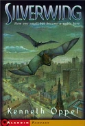 Silverwing (novel) | Silverwing Wiki | Fandom