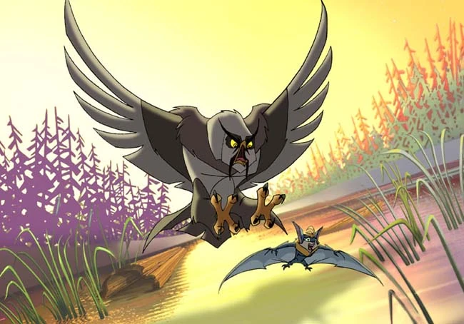 Atlas | Silverwing Wiki | Fandom