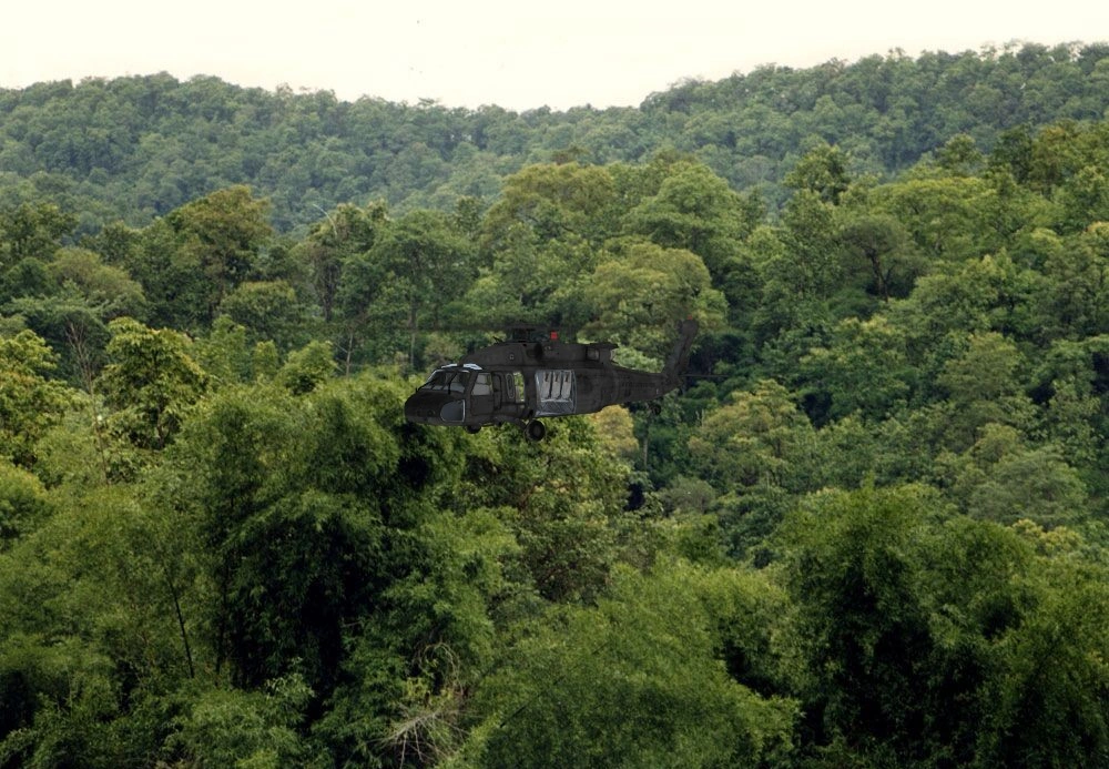 The Execrated Forest | Silylily Wiki | Fandom