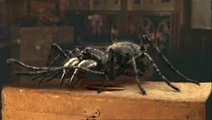 Pająki - mesothelae | Siły pierwotne Wiki | Fandom